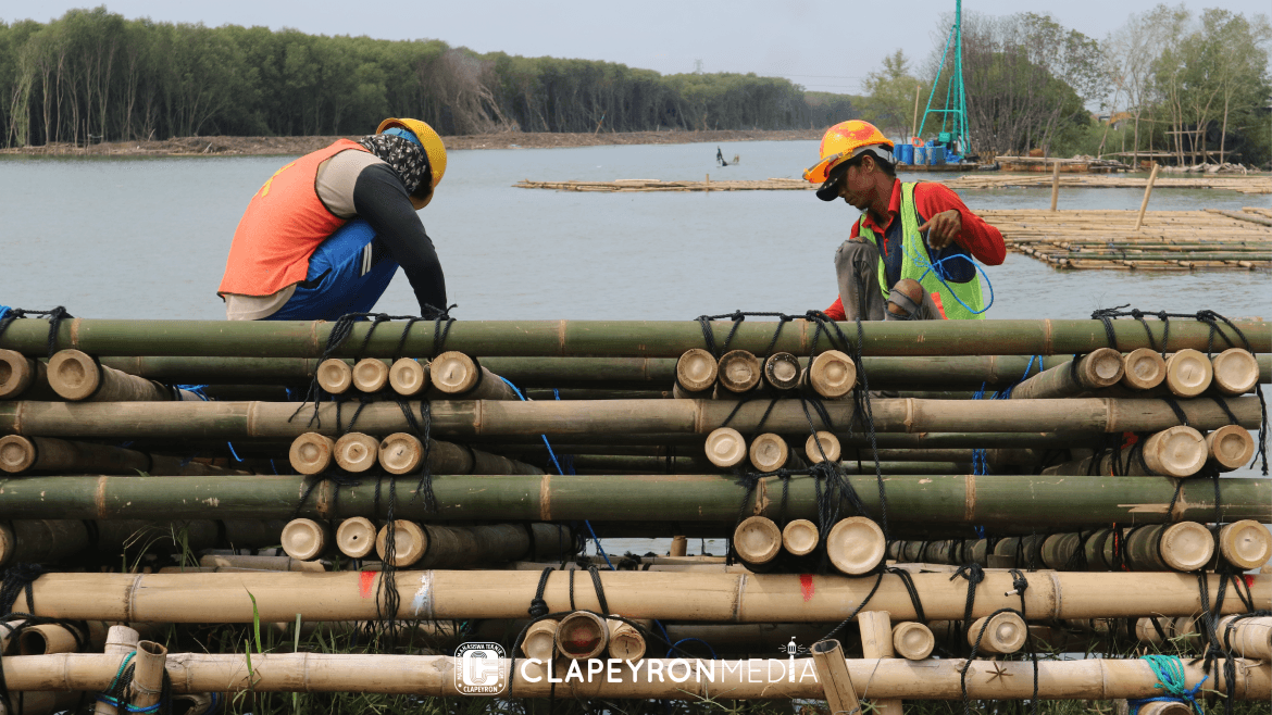 Gunakan Bambu untuk Halau Banjir Rob, Inovasi Tol Semarang–Demak ...